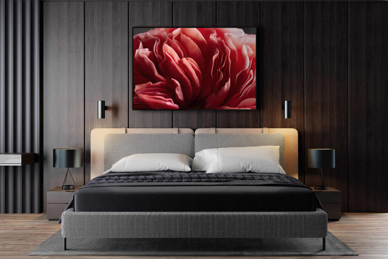 BARONESSE ROSE | SUNOGRAPHY