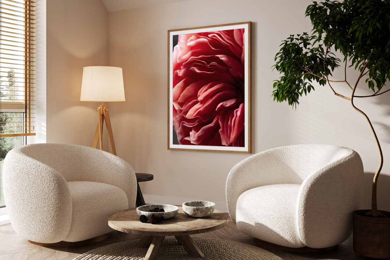 BARONESSE ROSE | SUNOGRAPHY